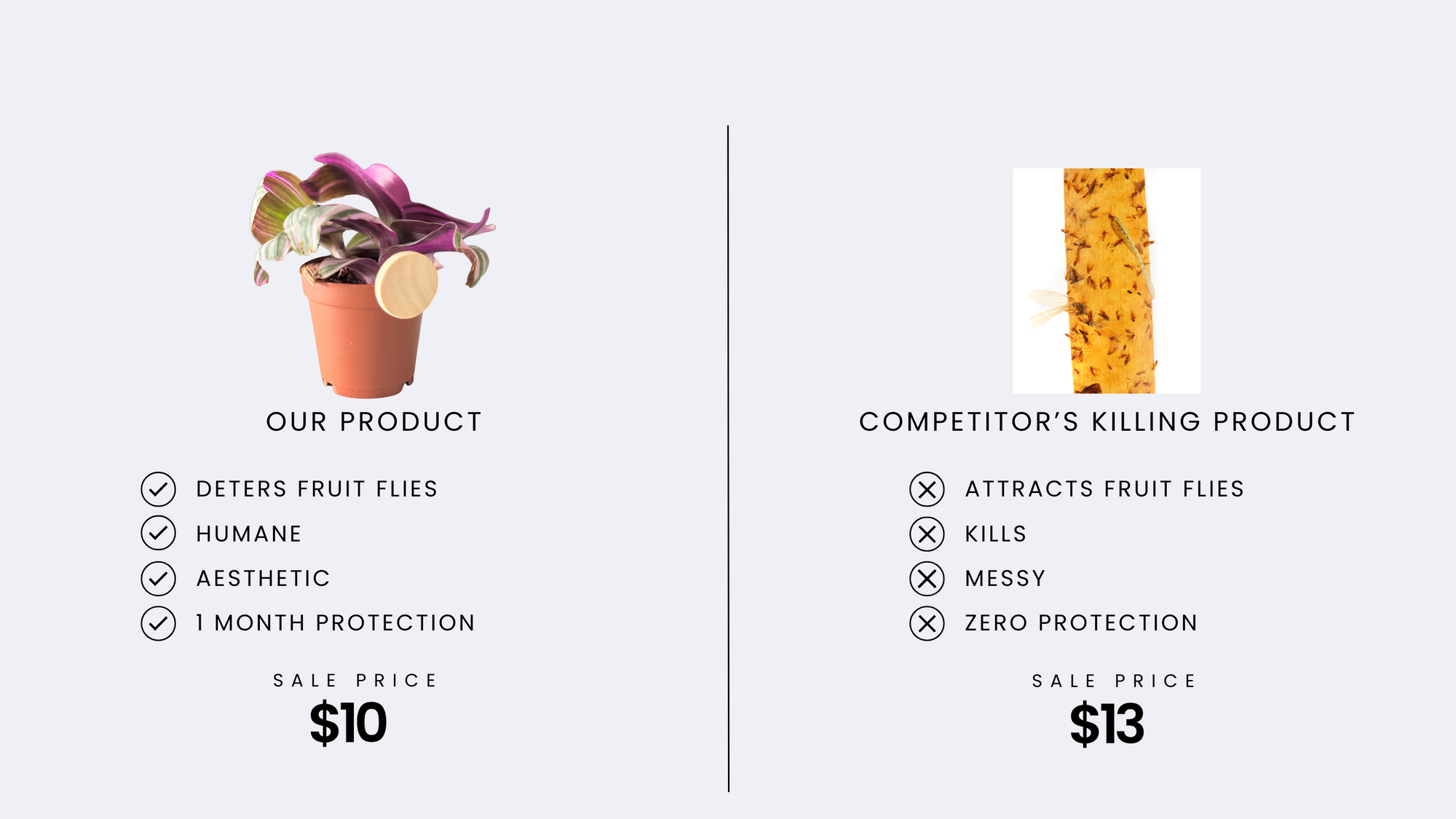 How to Get Rid of Fruit Flies | Fruit Fly Defense – Deterrents & Traps